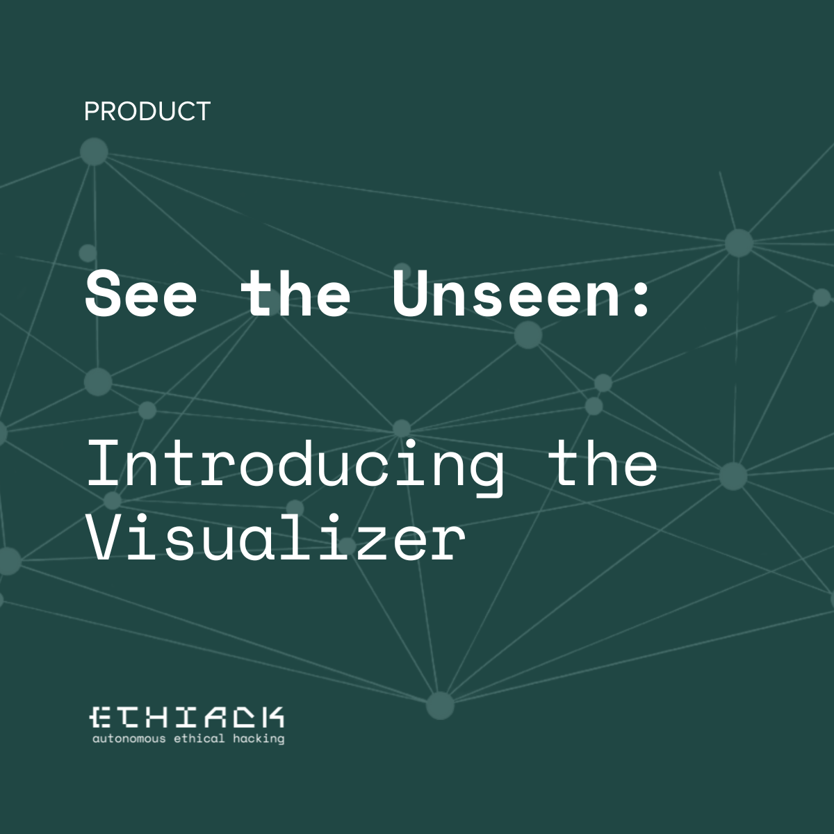 See the Unseen: Introducing the Visualizer